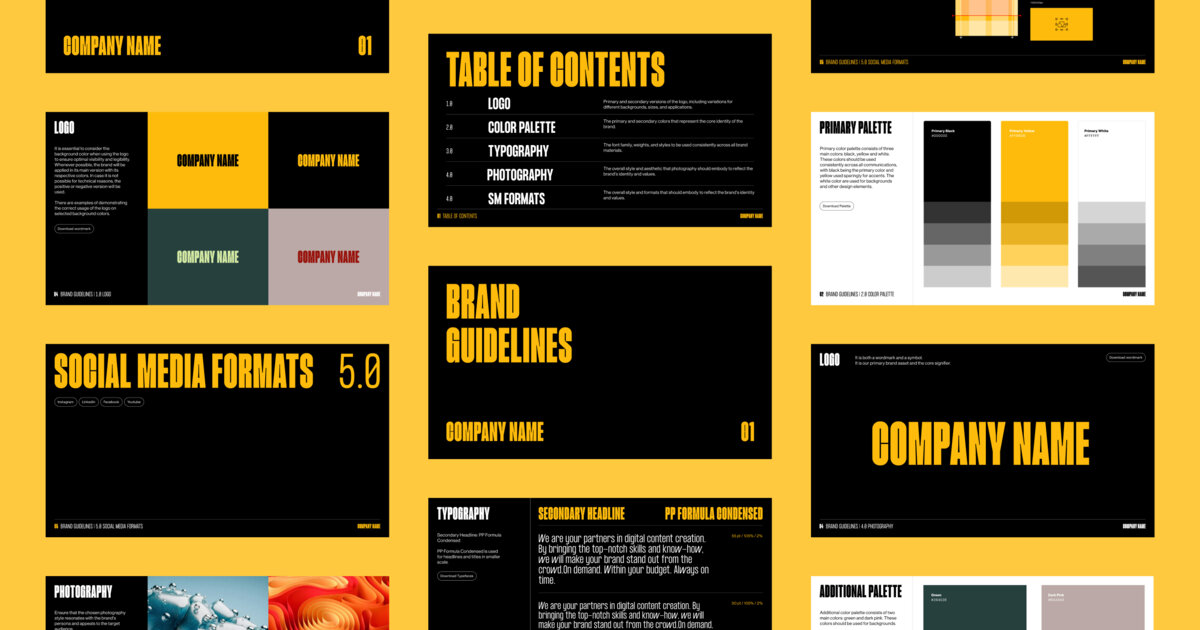Crafting strong visual identity with Visual Guidelines | Flying Bisons