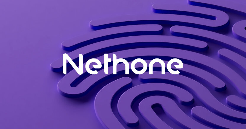 Brand refresh for Nethone | Flying Bisons