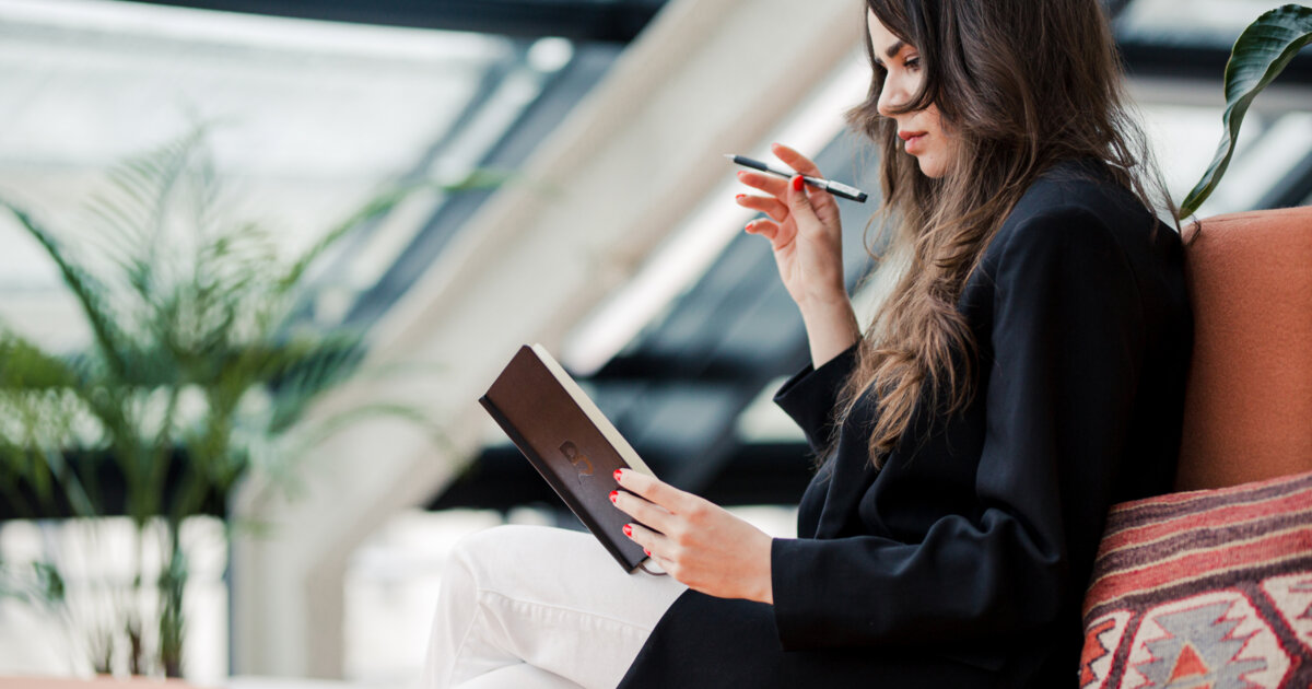 Product Roadmap | Flying Bisons